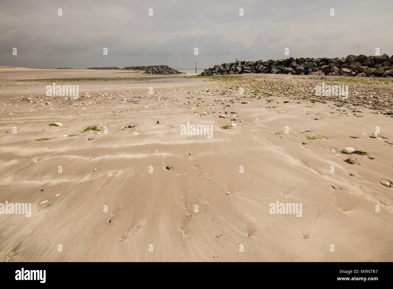 Elmer sands hi-res stock photography and images - Alamy