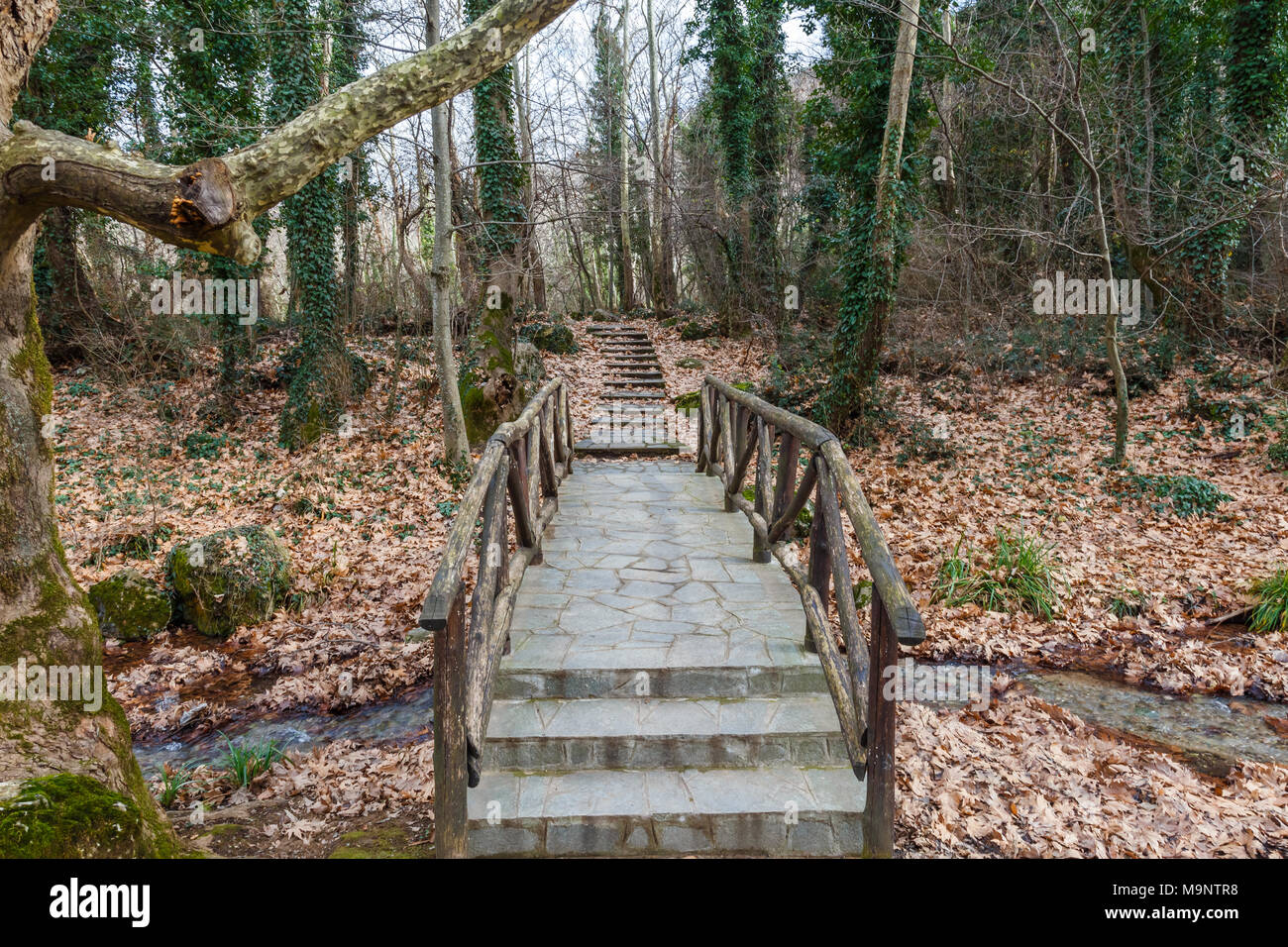 Path to paradise. Calm and quiet stairs to nature. Escape from the city ...