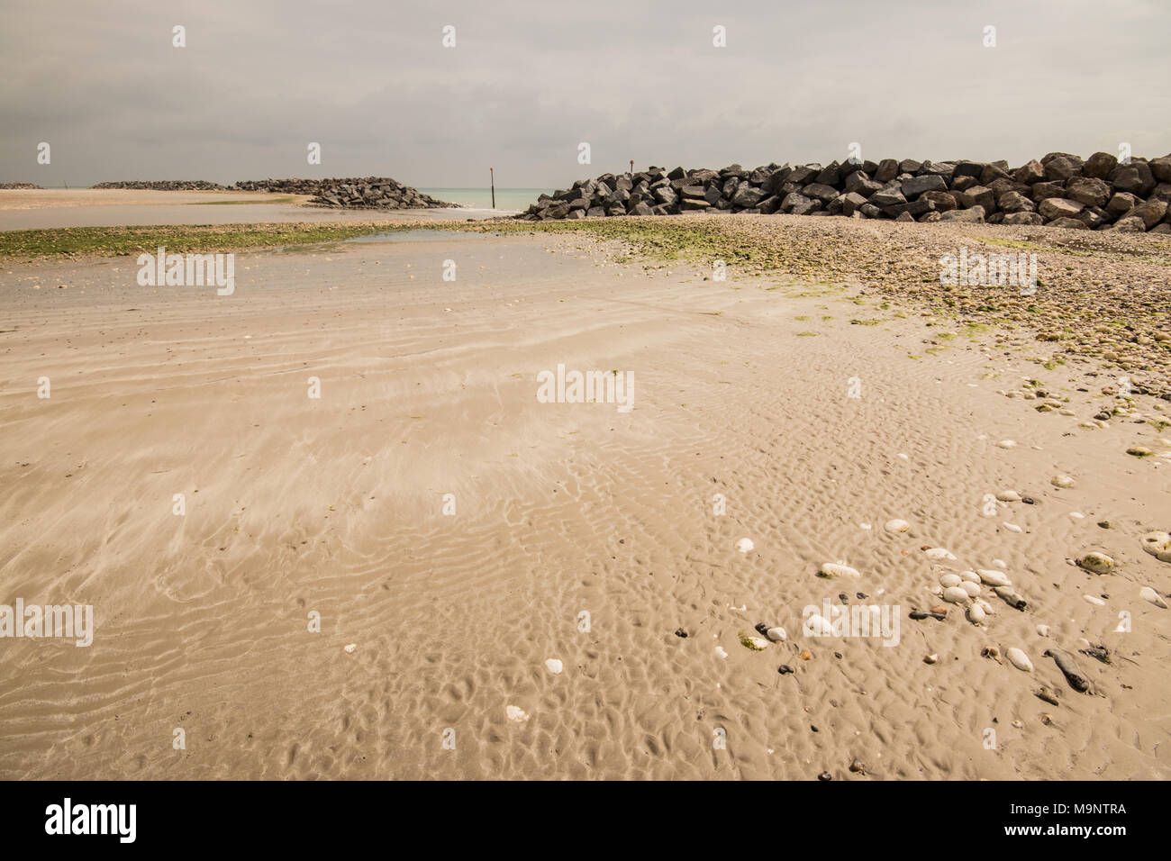 Elmer sands hi-res stock photography and images - Alamy