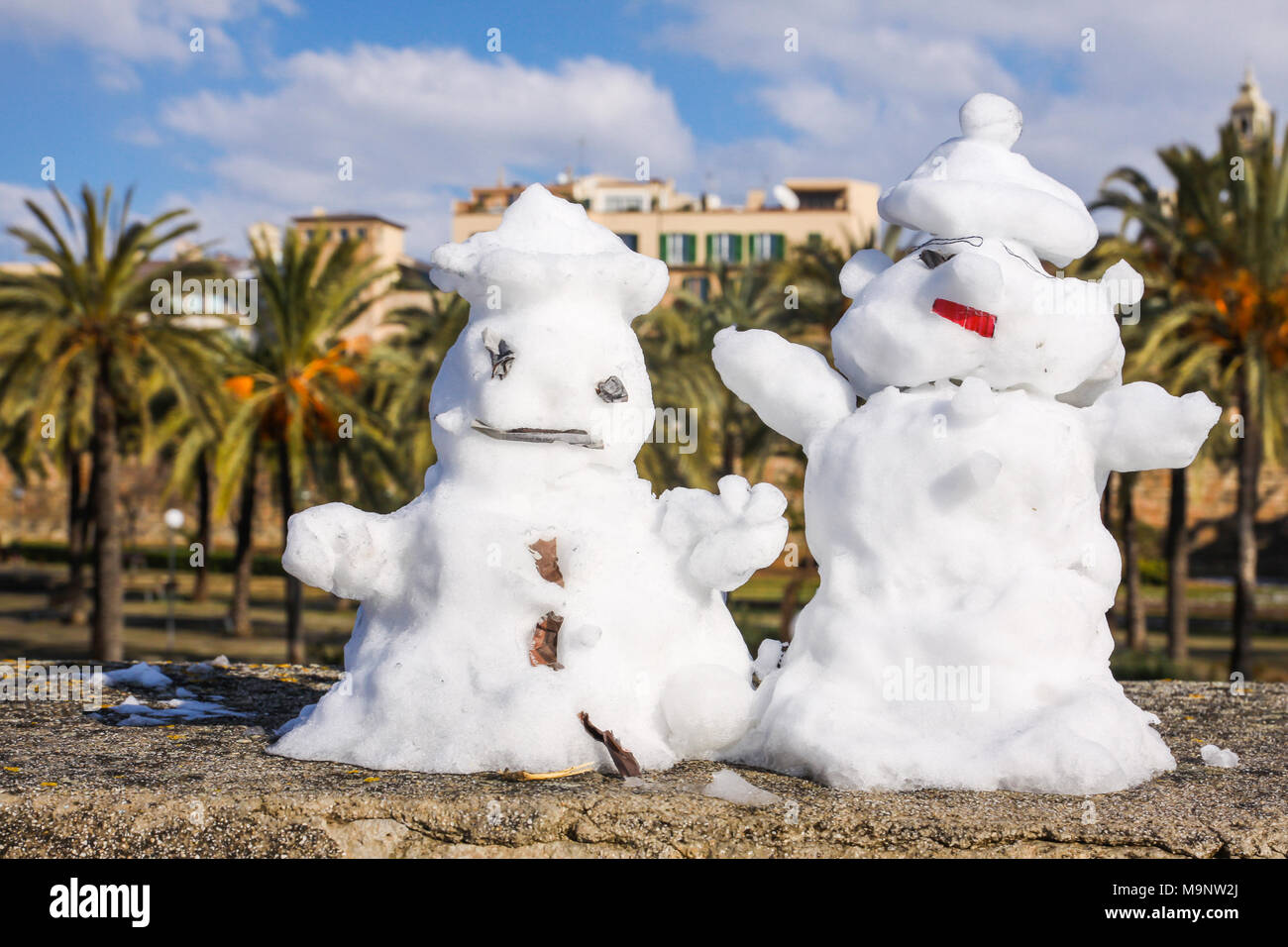 Palm tree snowman hi-res stock photography and images - Alamy