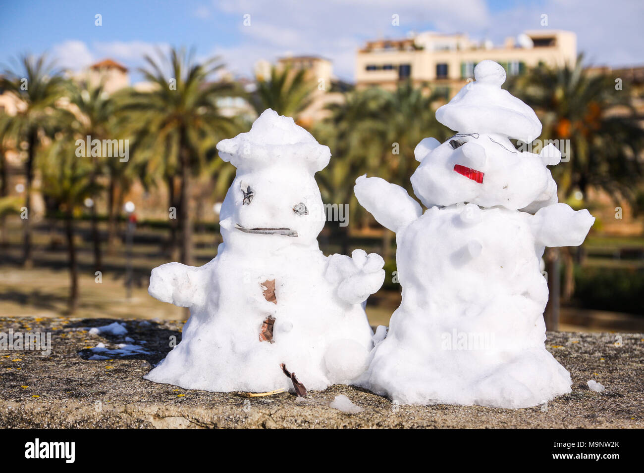 Palm tree snowman hi-res stock photography and images - Alamy