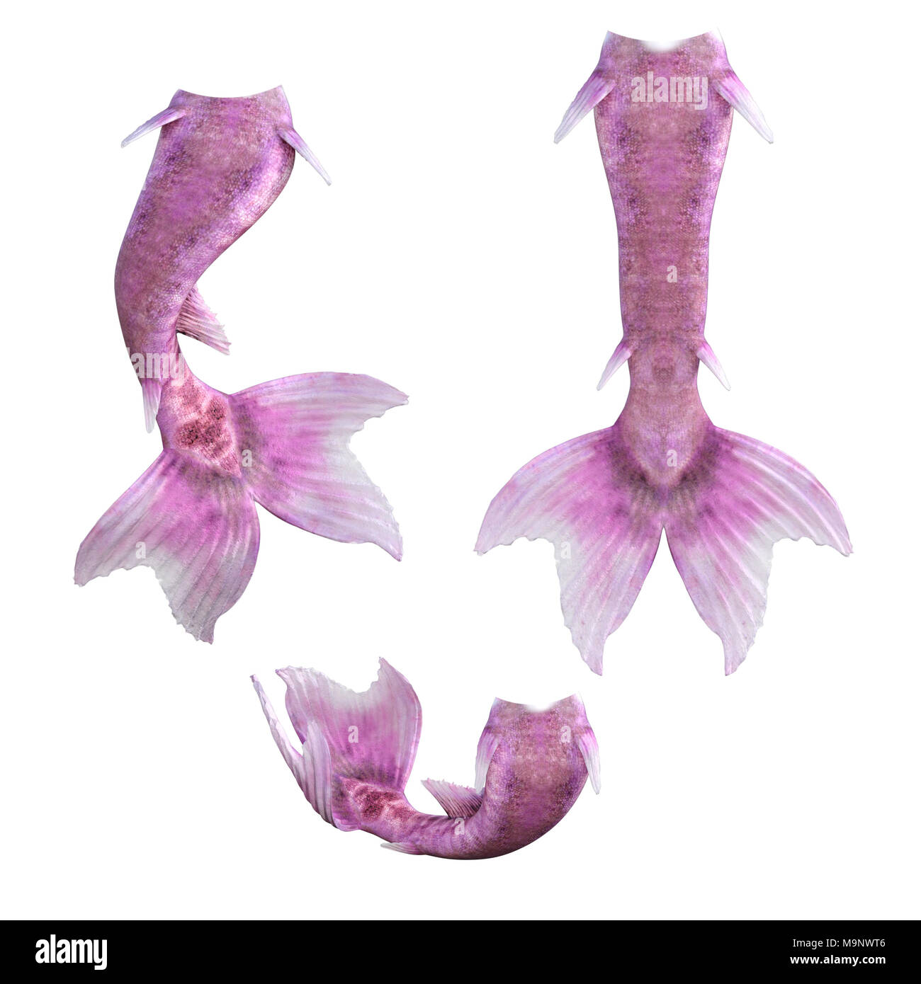 Set of pink mermaid tails isolated on white, 3d render Stock Photo - Alamy