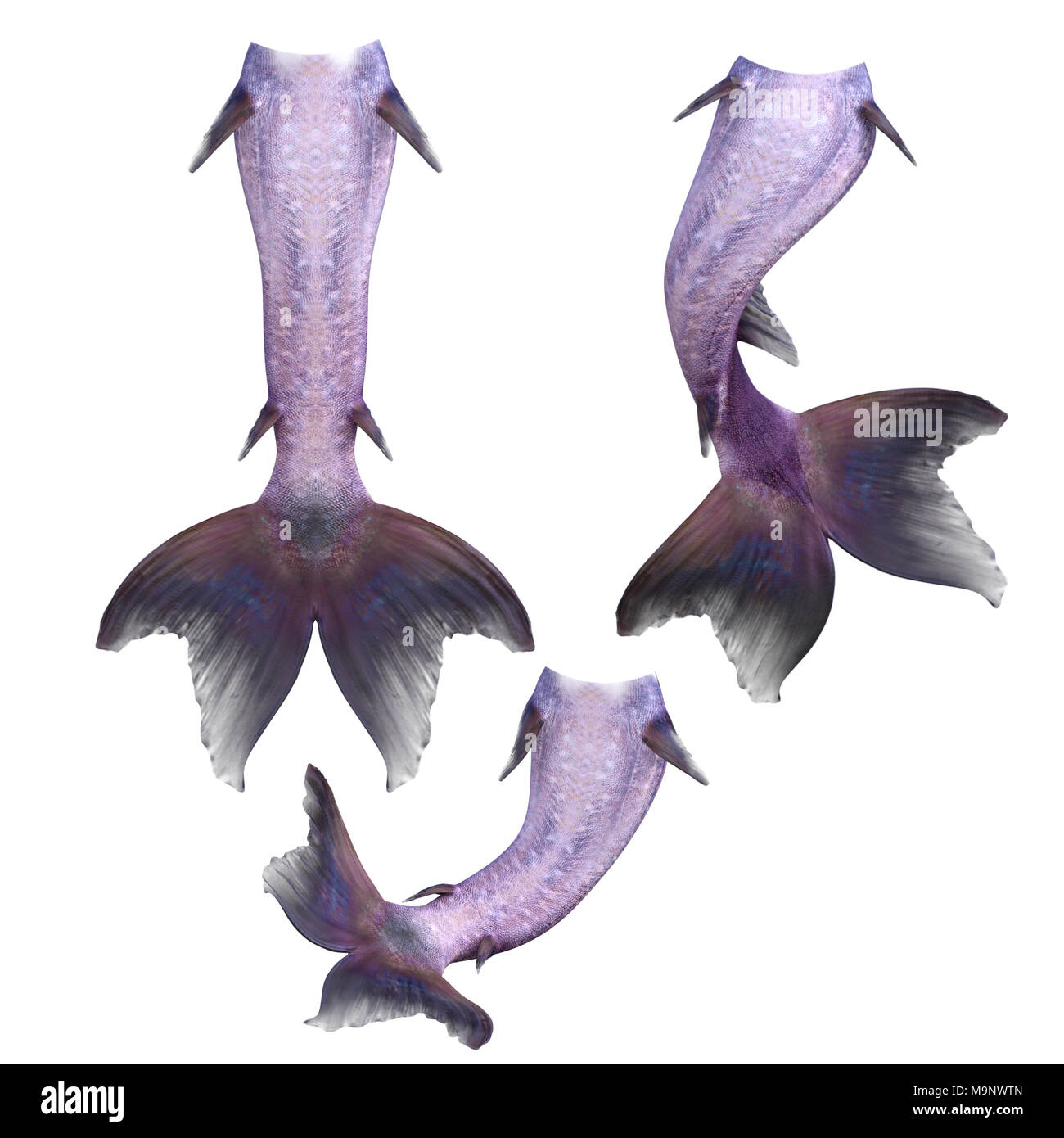Set of purple mermaid tails isolated on white, 3d render Stock Photo ...