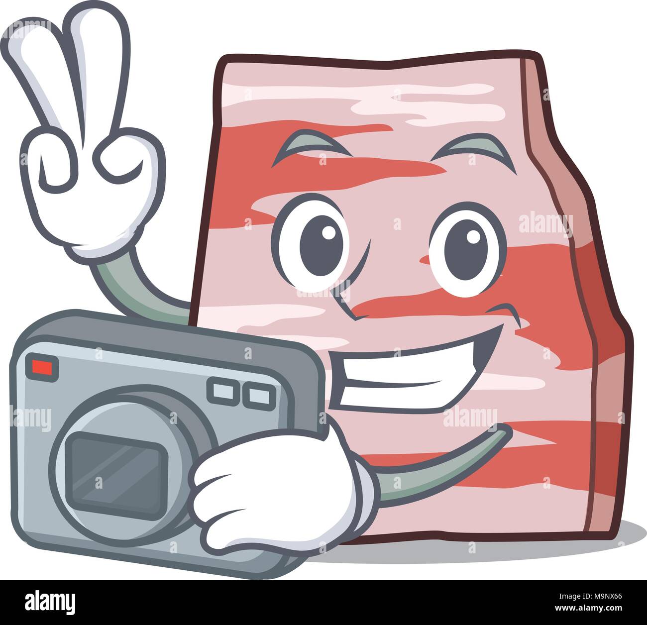 Photographer pork lard mascot cartoon Stock Vector Image & Art - Alamy