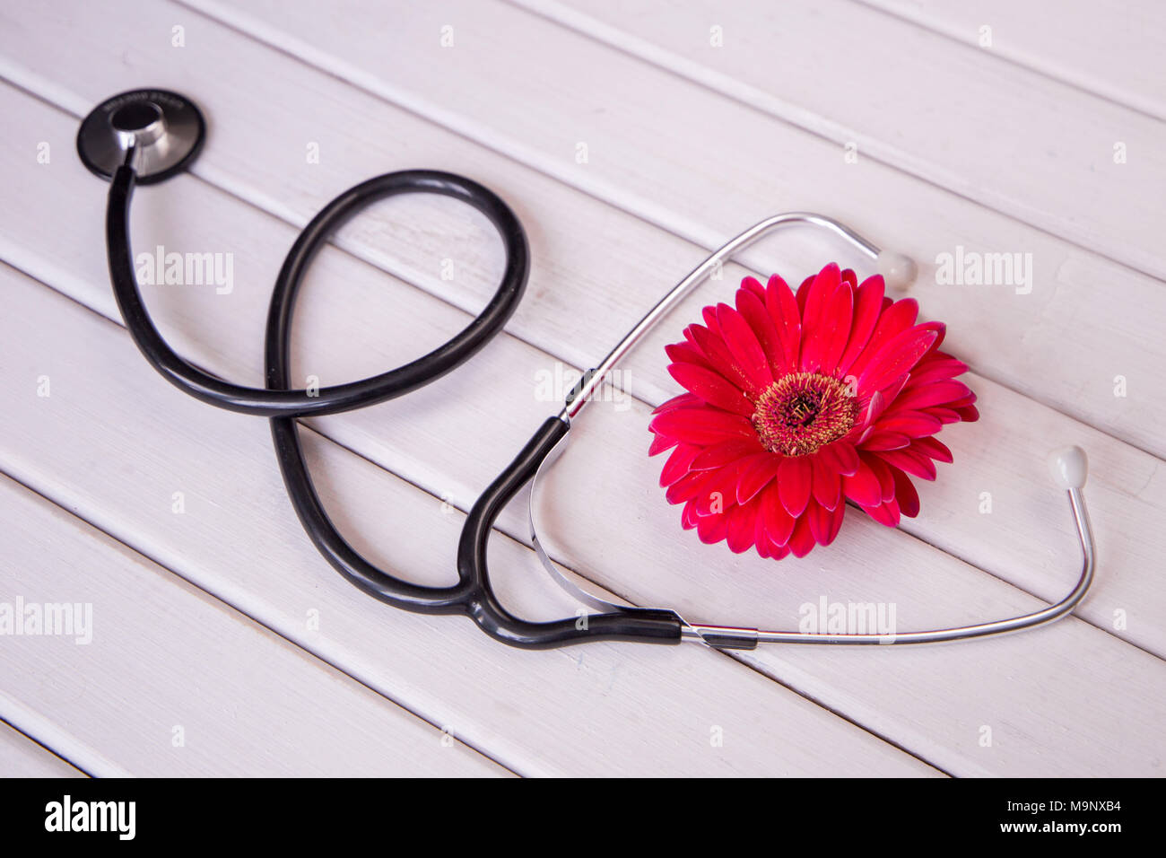 Medical stethoscope with flower on light wooden background Stock Photo ...