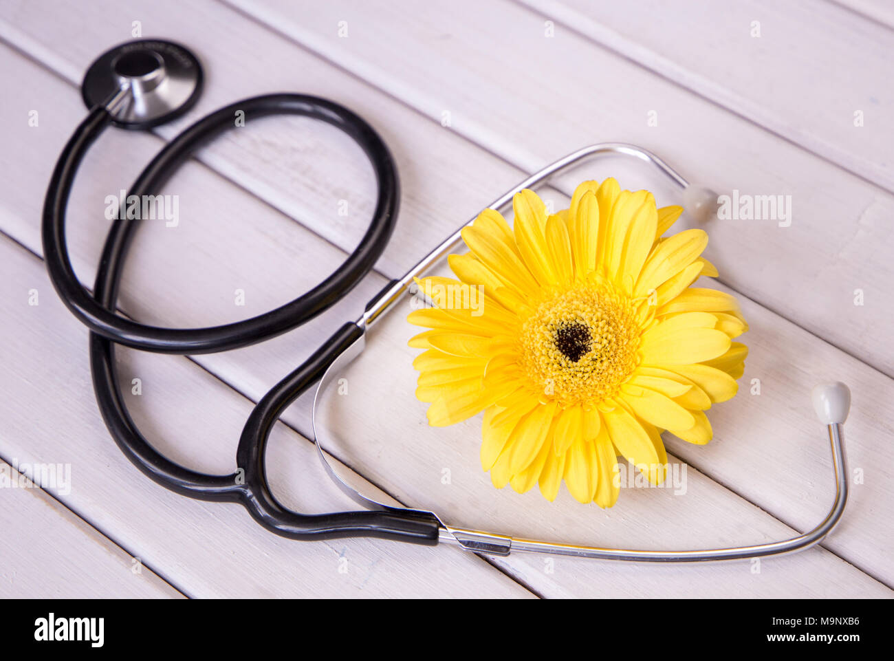 Flower stethoscope hi-res stock photography and images - Alamy