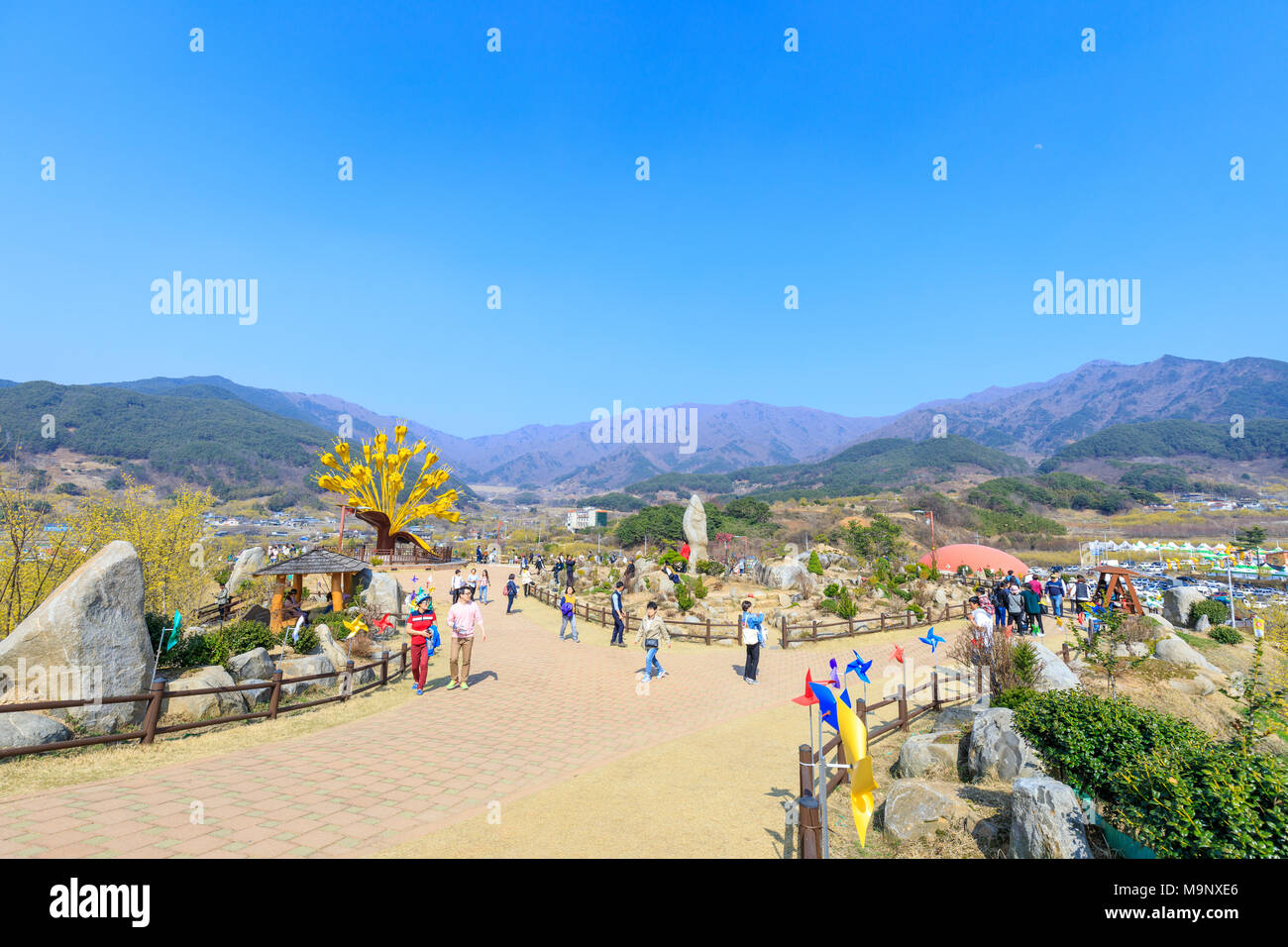 Gurye, South Korea - March 26, 2018 : Scenery of Cornus officinalis ...