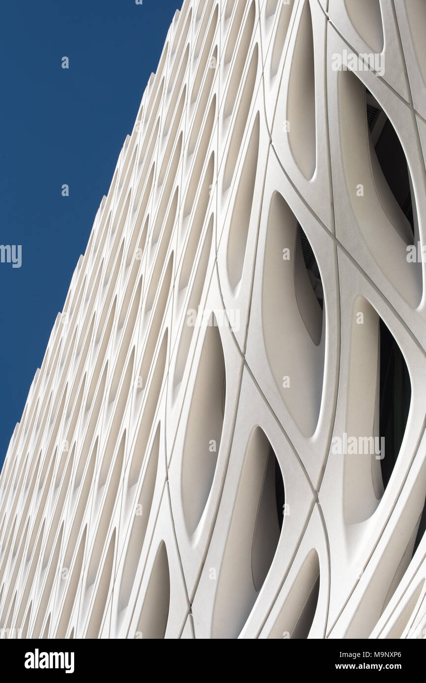 Shell collection display hi-res stock photography and images - Alamy