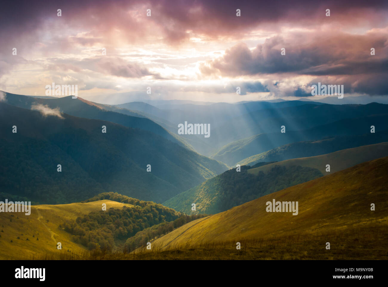 Sun rays over valley Stock Photo - Alamy