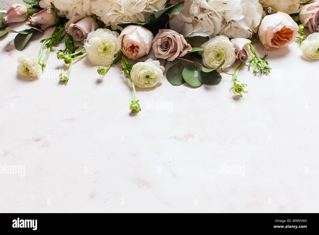 White flowers border Stock Photo - Alamy