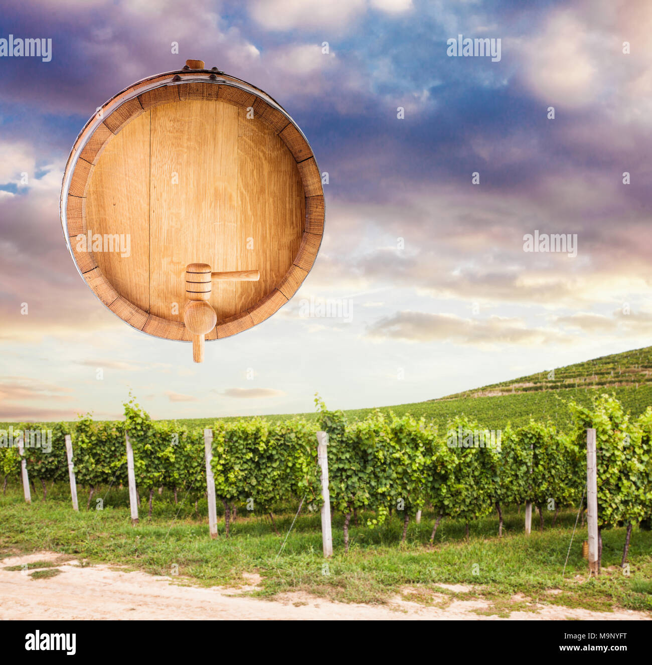 wooden barrel over vineyard Stock Photo - Alamy