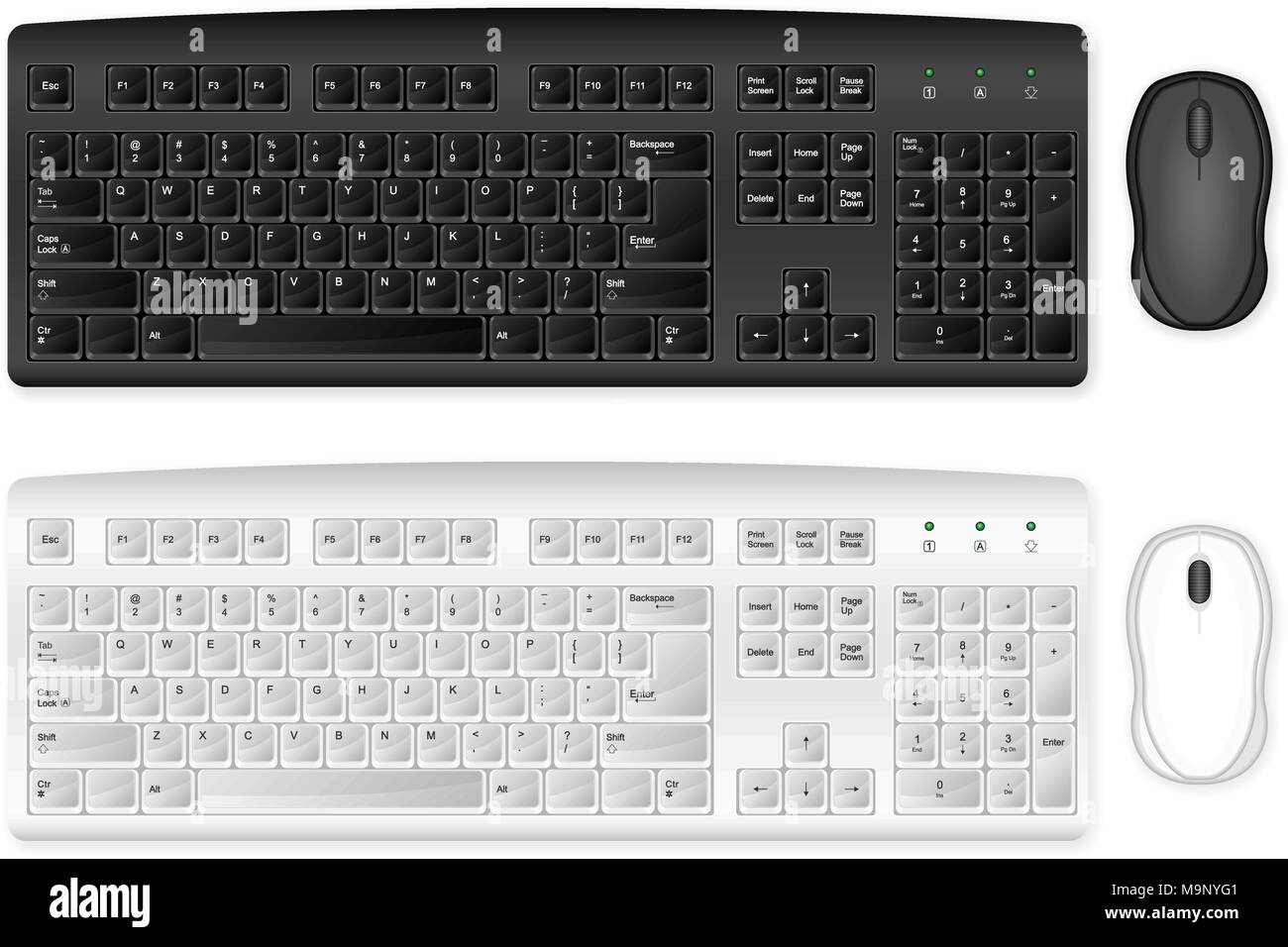 Computer keyboard and mouse on a white background. Vector illustration ...