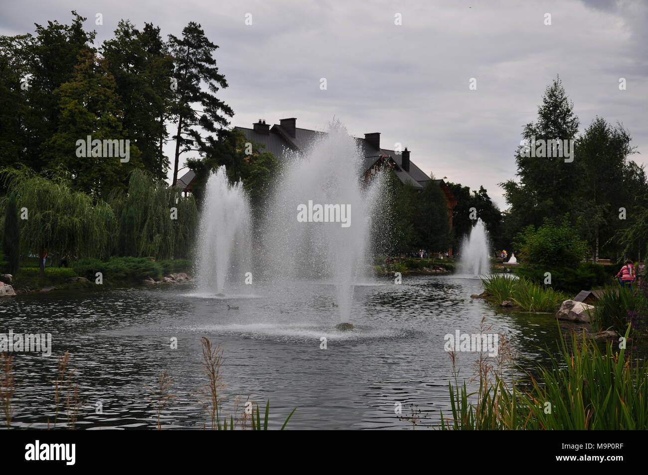 Viktor yanukovych house hi-res stock photography and images - Alamy