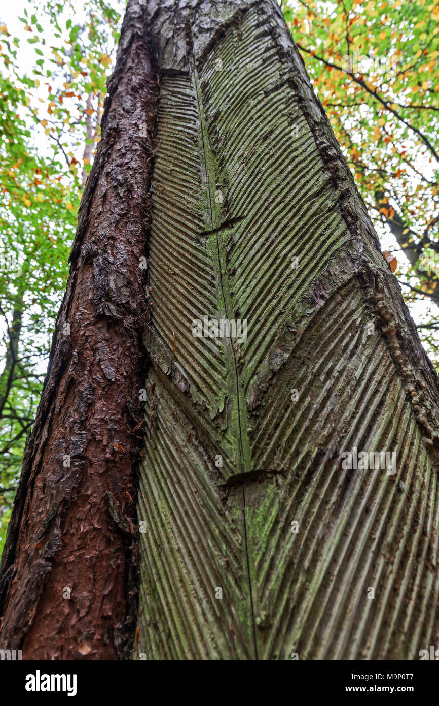 Tapping tree resin hi-res stock photography and images - Alamy