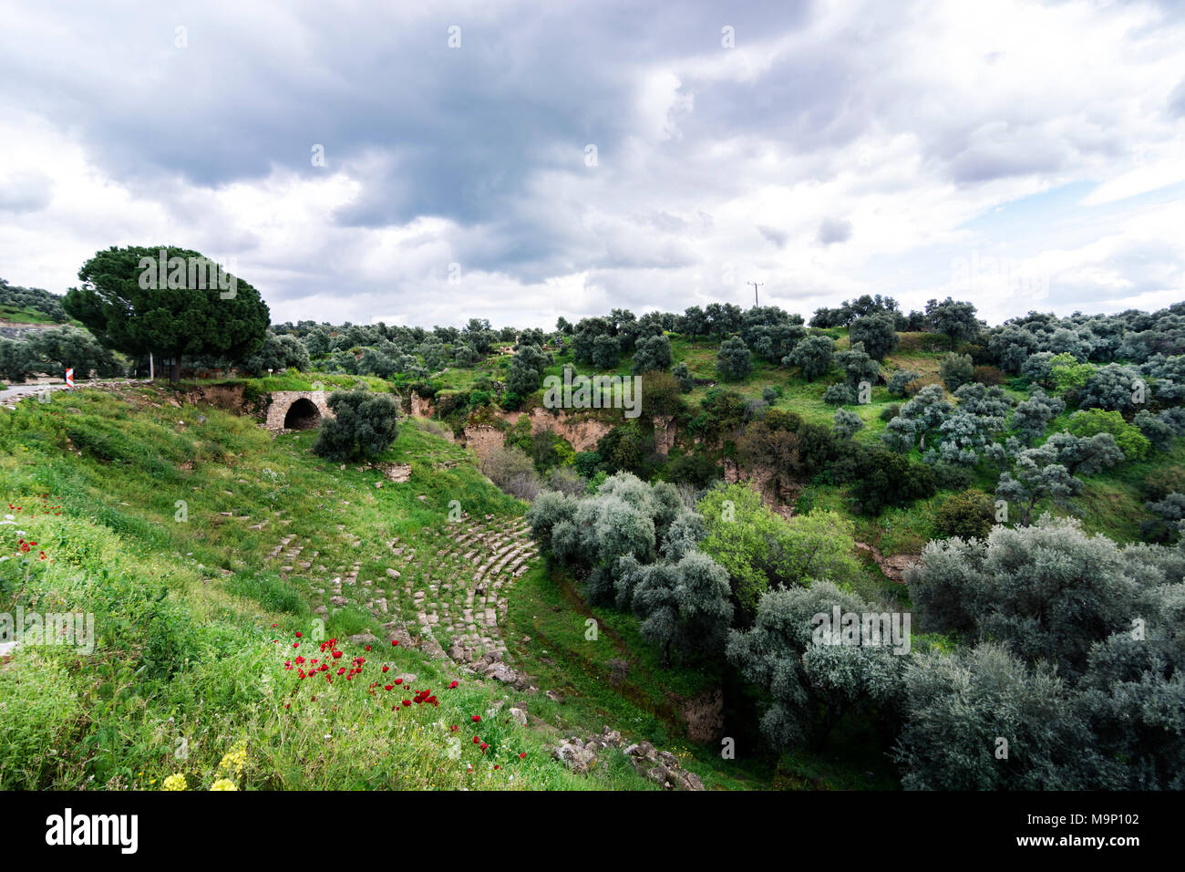 Nysa ancient city ,Sultanhisar,Aydin,Turkey Stock Photo - Alamy