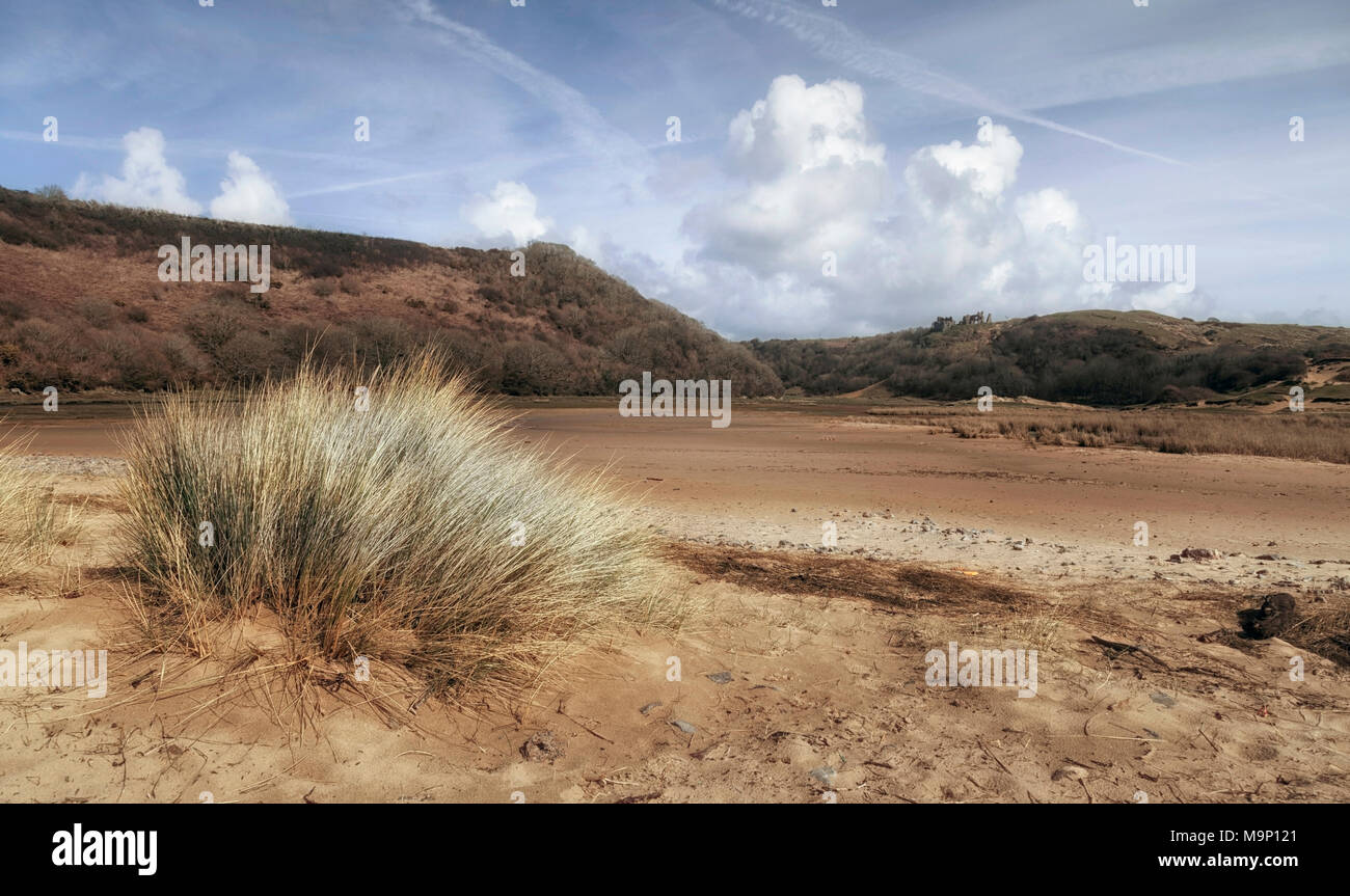 Bay grass hi-res stock photography and images - Alamy