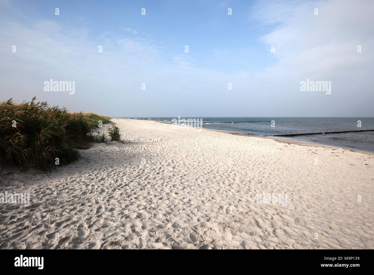 Baltic Sea beach at Baltic resort Zingst, Fischland-Darß-Zingst ...