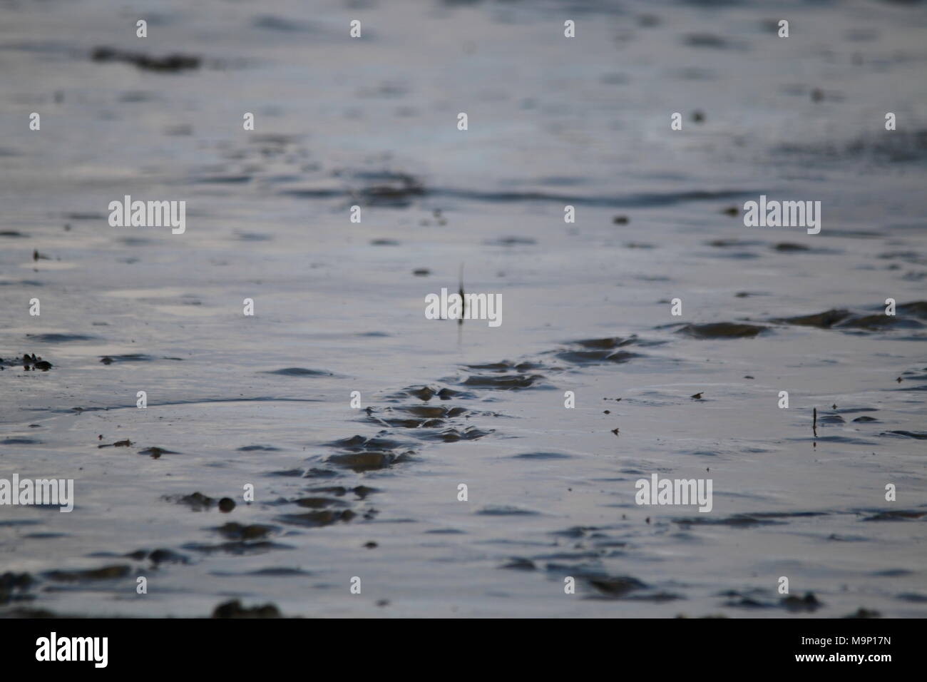 Sand bubbles hi-res stock photography and images - Alamy