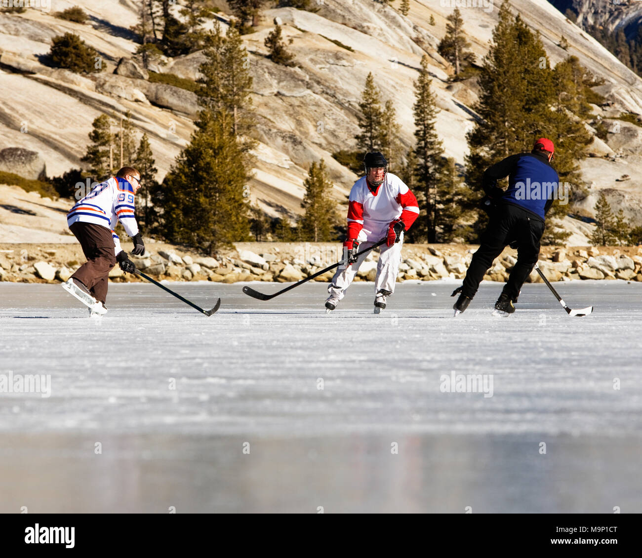 People tree hi-res stock photography and images - Alamy