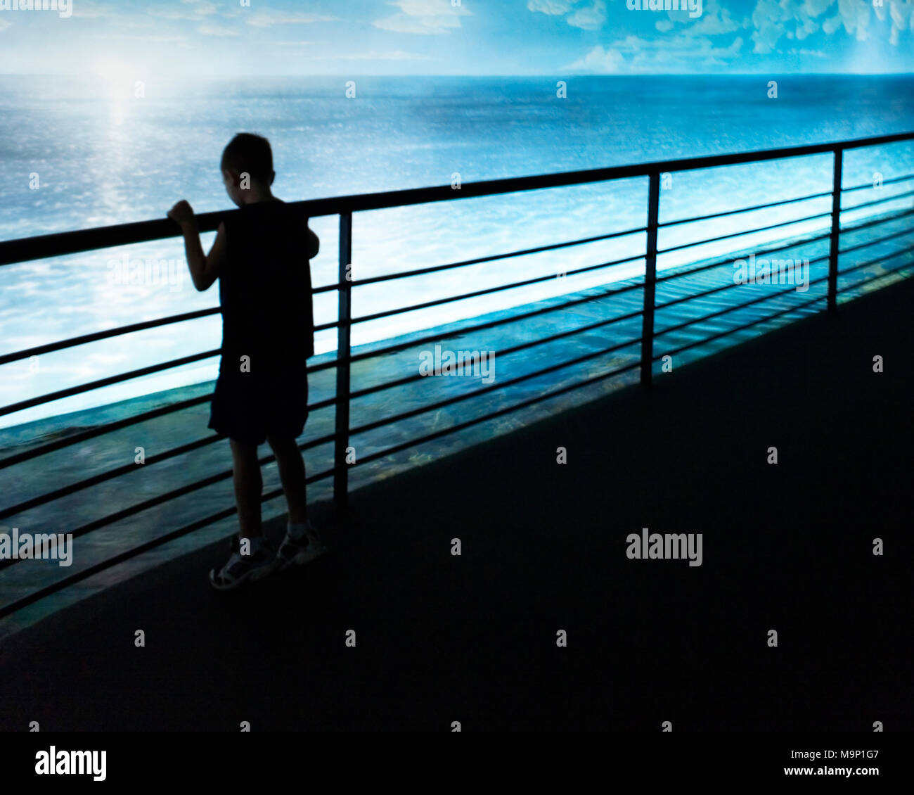 Silhouetted person at a hand railing, water and sky Stock Photo - Alamy