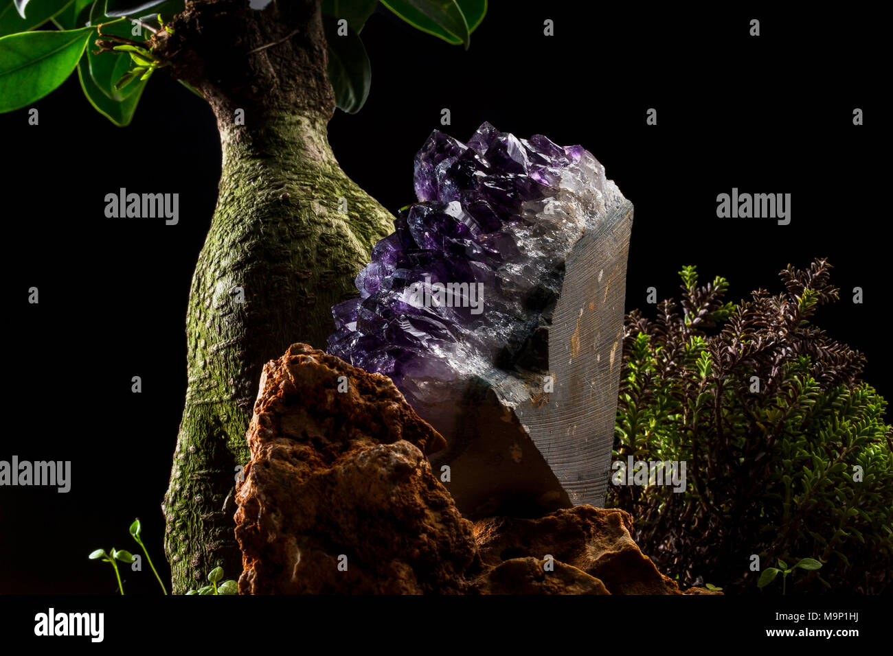 Amethyst geode on black background. Beautiful natural crystals gemstone ...