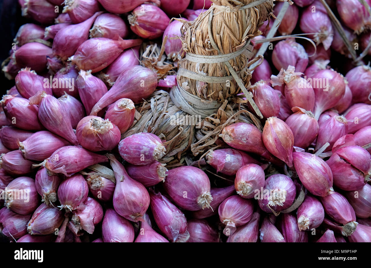 Asian shallot hi-res stock photography and images - Alamy