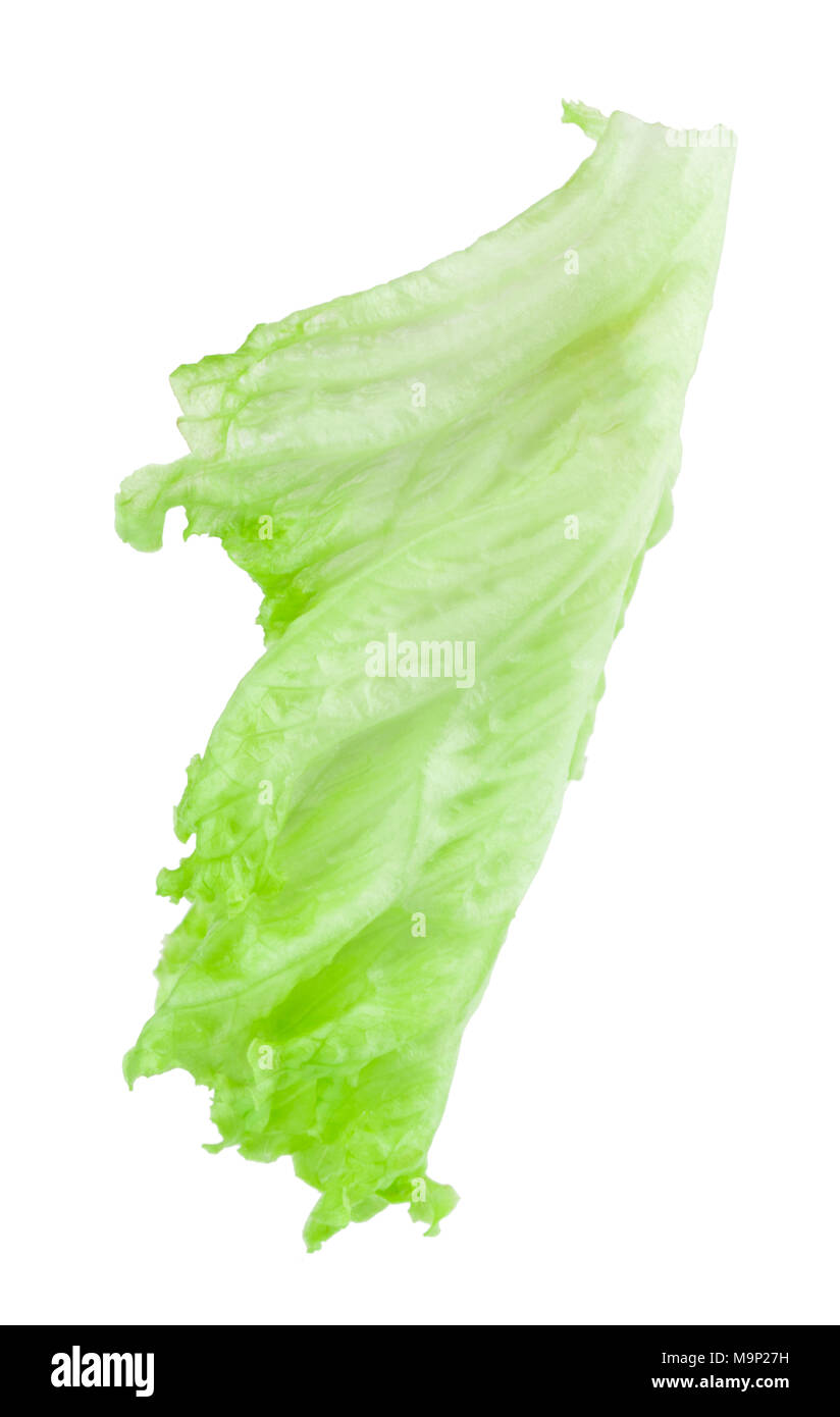 Salad leaf. Lettuce isolated on white background.With clipping path ...