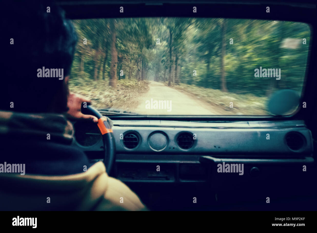 A view from behind the steering wheel of a car. The view from the back ...