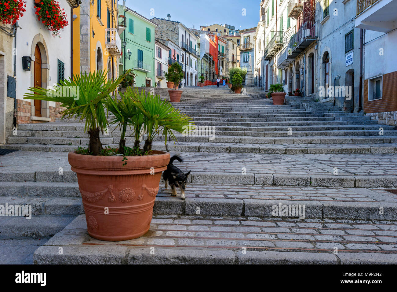 Long stairs hi-res stock photography and images - Alamy