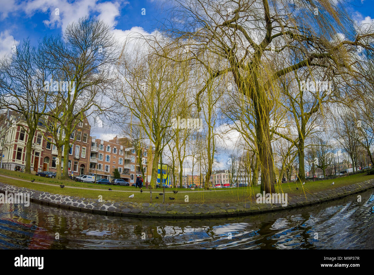 AMSTERDAM, NETHERLANDS, MARCH, 10 2018: Outdoor view of many dry trees ...