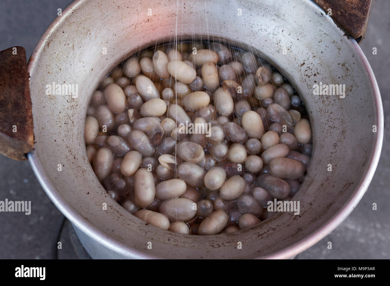 Cooking silkworm cocoons, traditional silk production, Jim Thompson ...