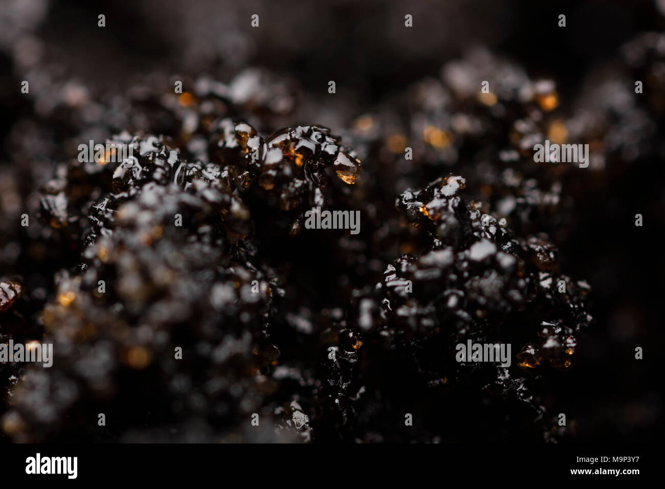 Alberta oil sand, which is trapped in sand under the earth￢ﾀﾙs surface ...