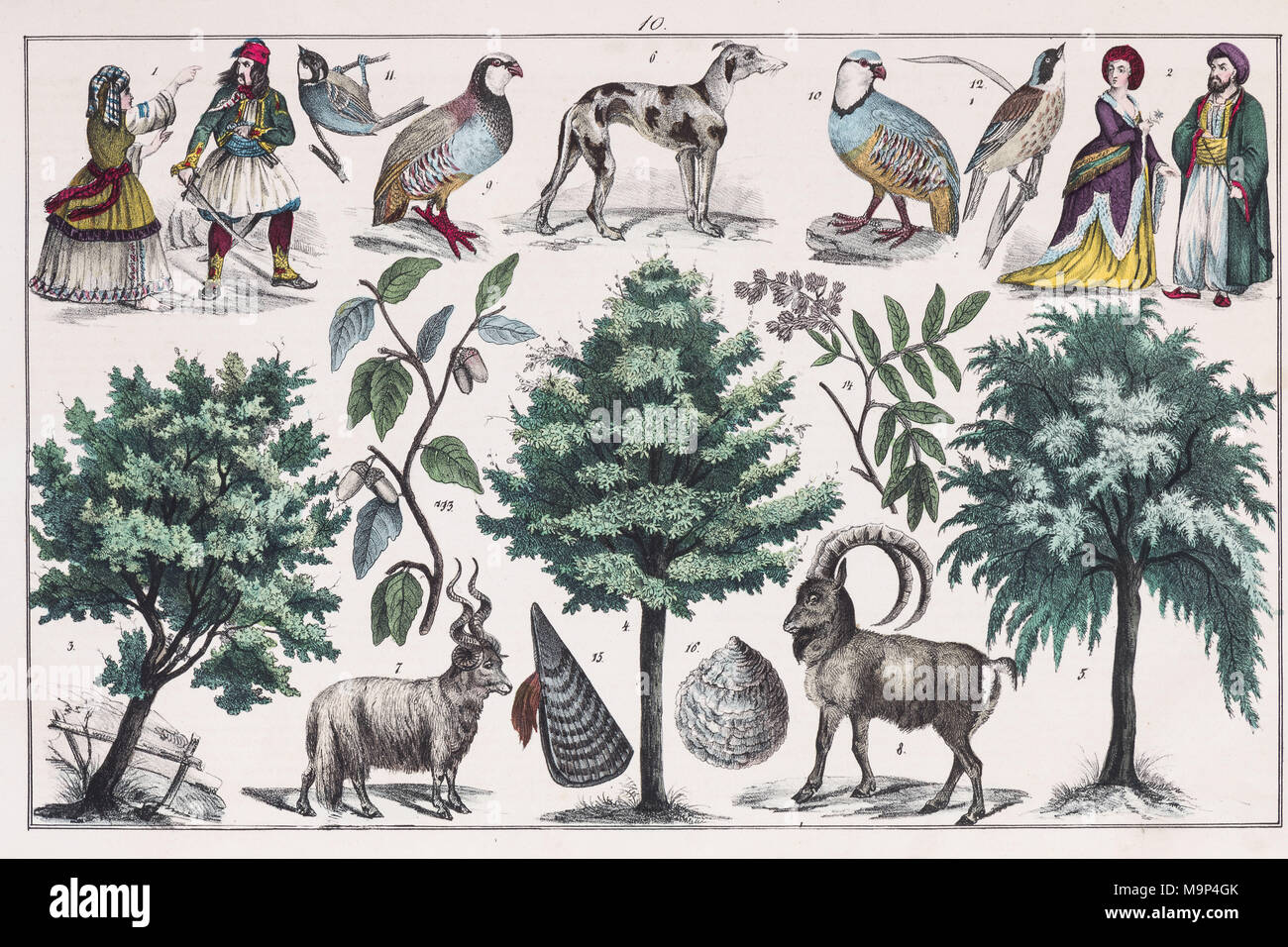 Zone painting South Europe, greek-turkish peninsula, France, from ...