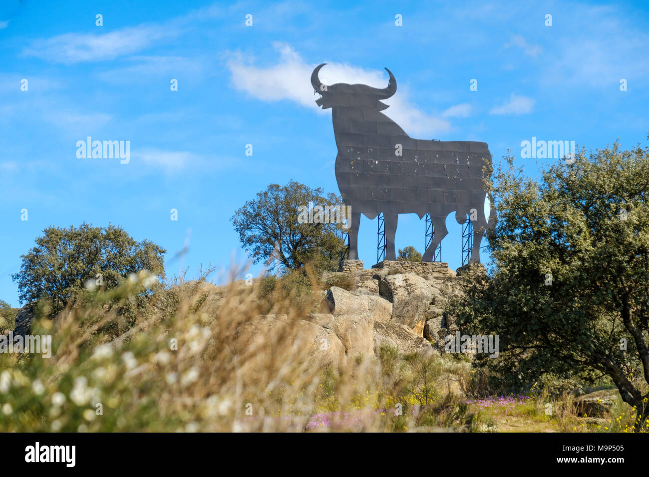 Statue of spanish bull hi-res stock photography and images - Alamy
