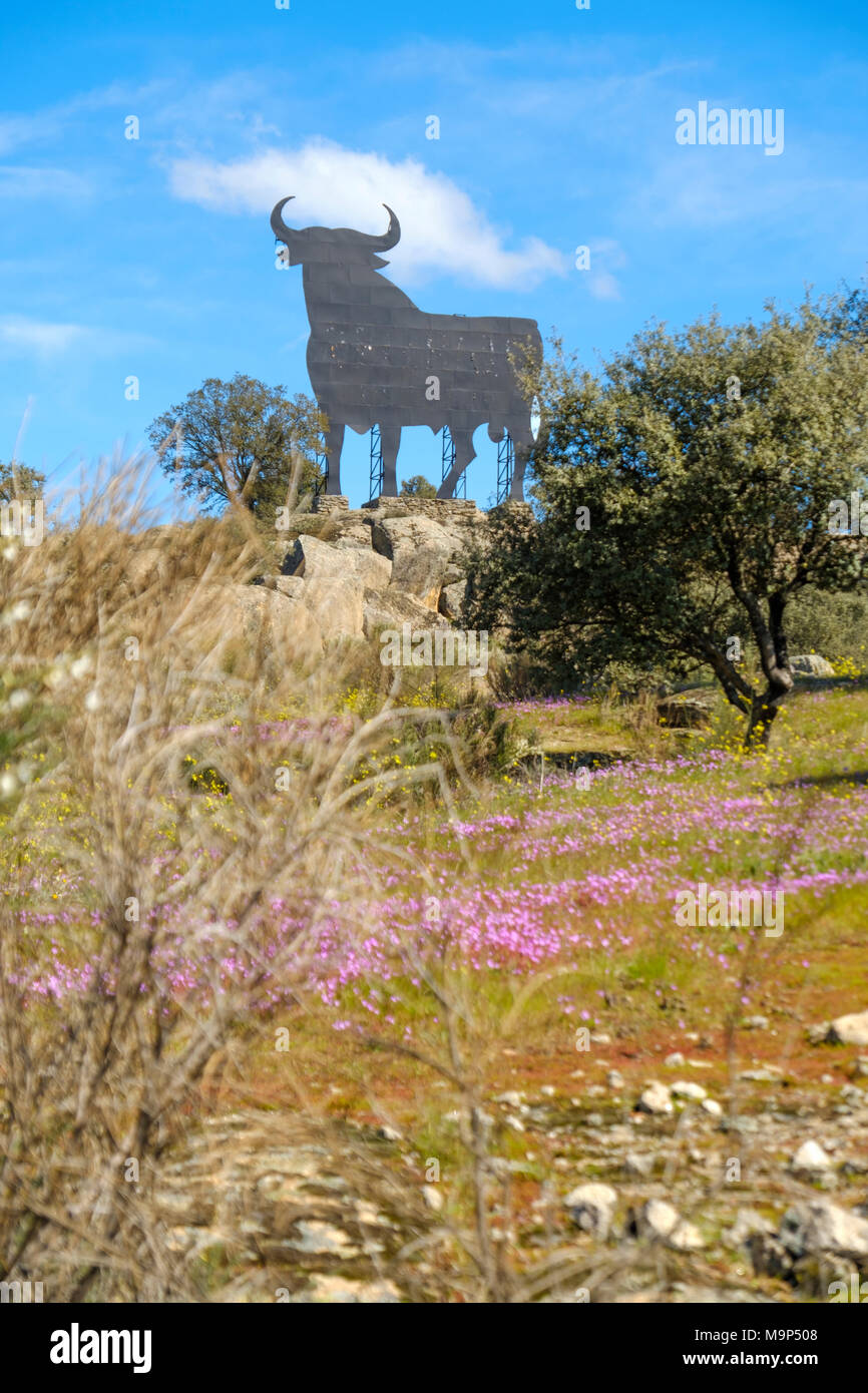 Statue of spanish bull hi-res stock photography and images - Alamy