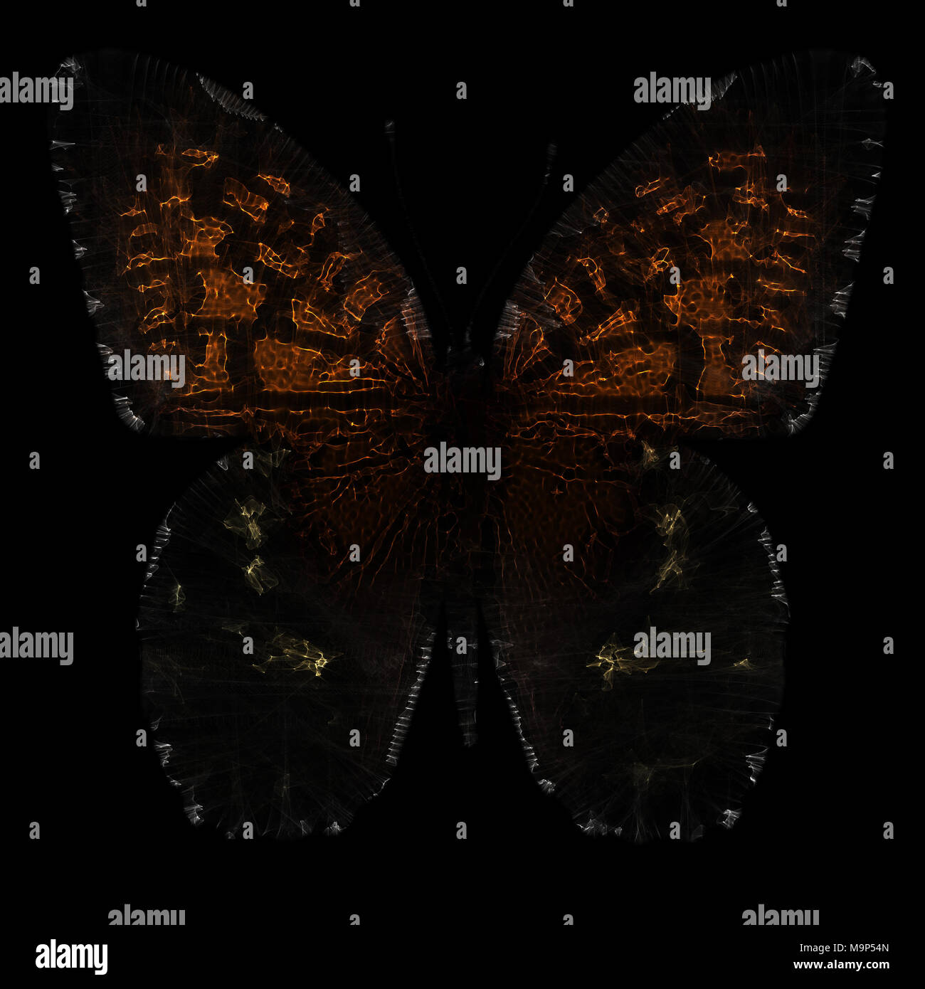 Abstract digital background, butterfly made of particles, lines and ...