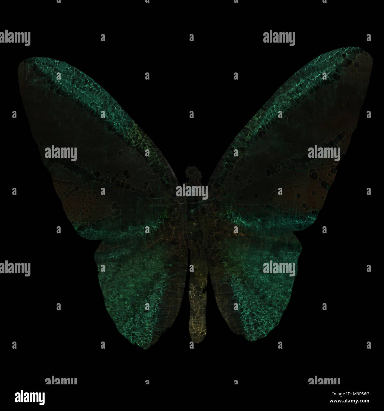 Abstract digital background, butterfly made of particles, lines and ...