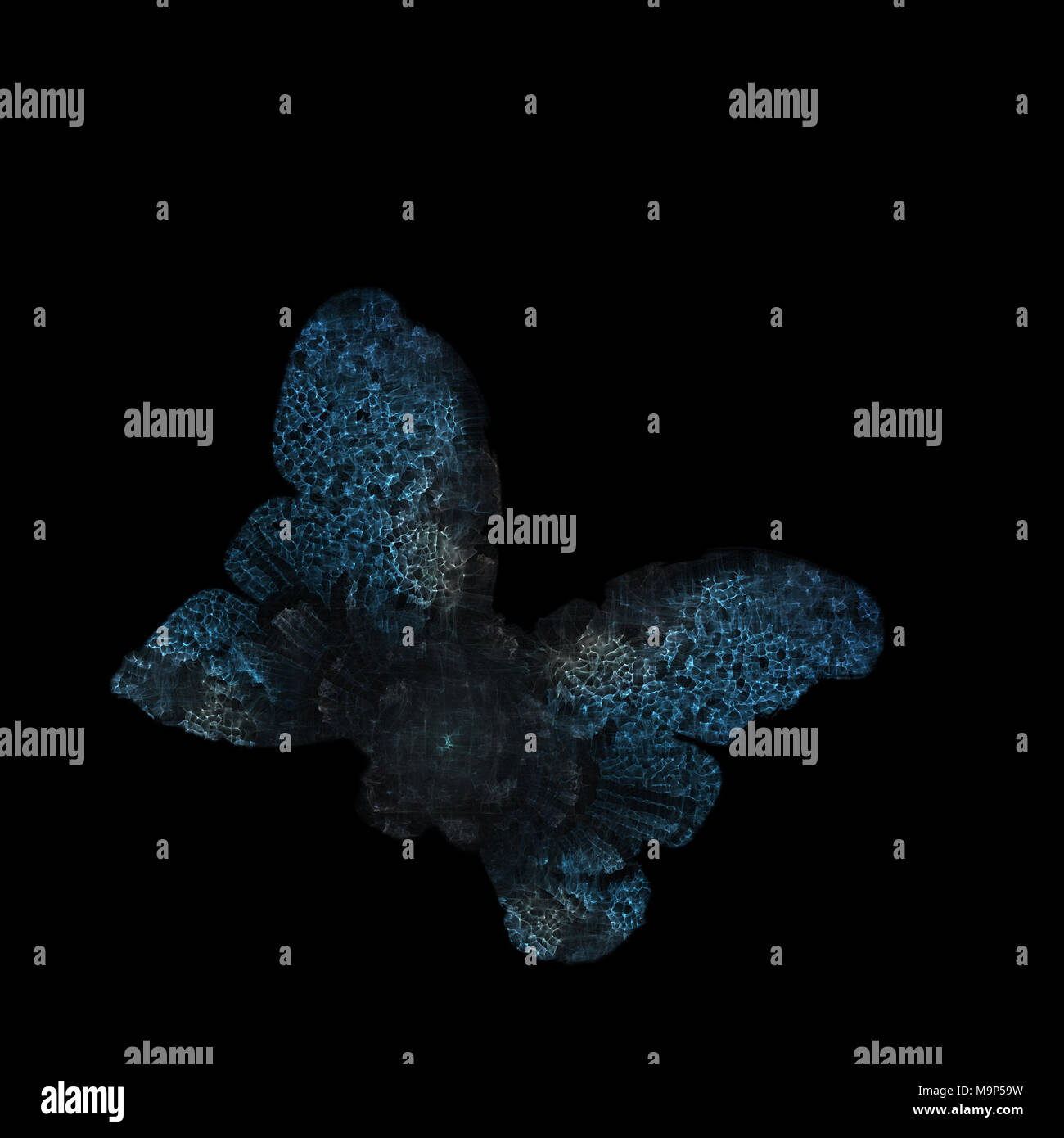 Abstract digital background, butterfly made of particles, lines and ...