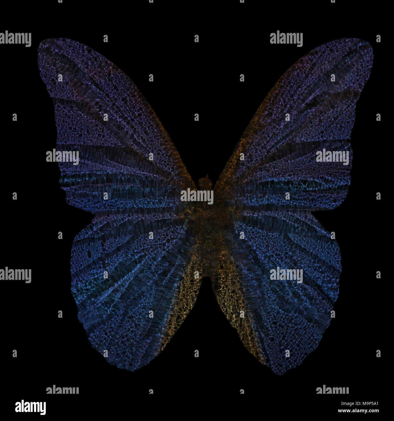 Abstract digital background, butterfly made of particles, lines and ...