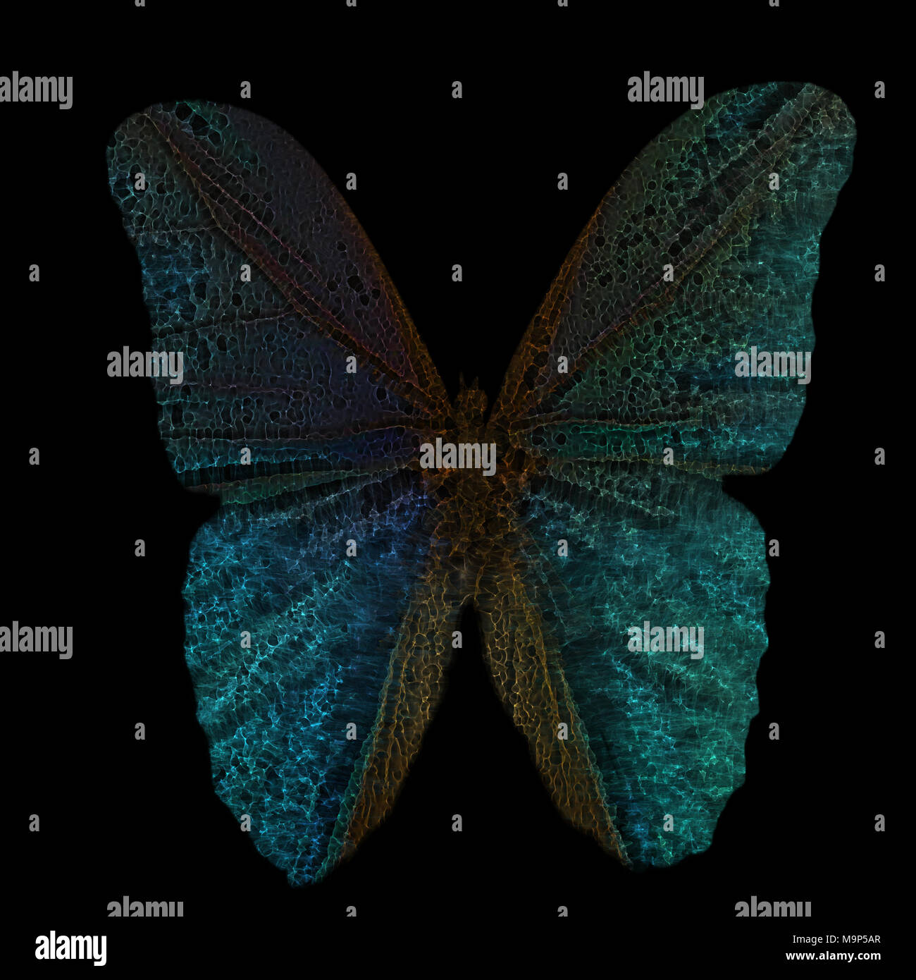 Abstract digital background, butterfly made of particles, lines and ...