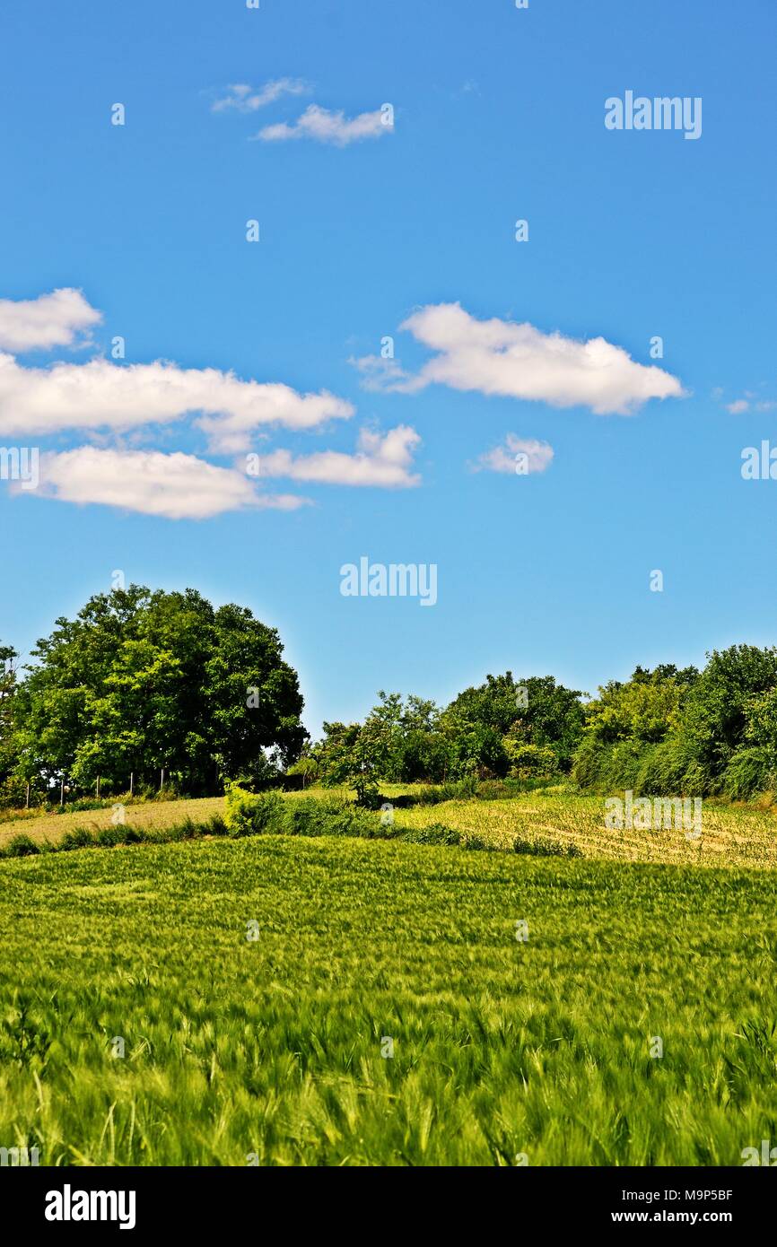 Spring rural countryside hi-res stock photography and images - Alamy