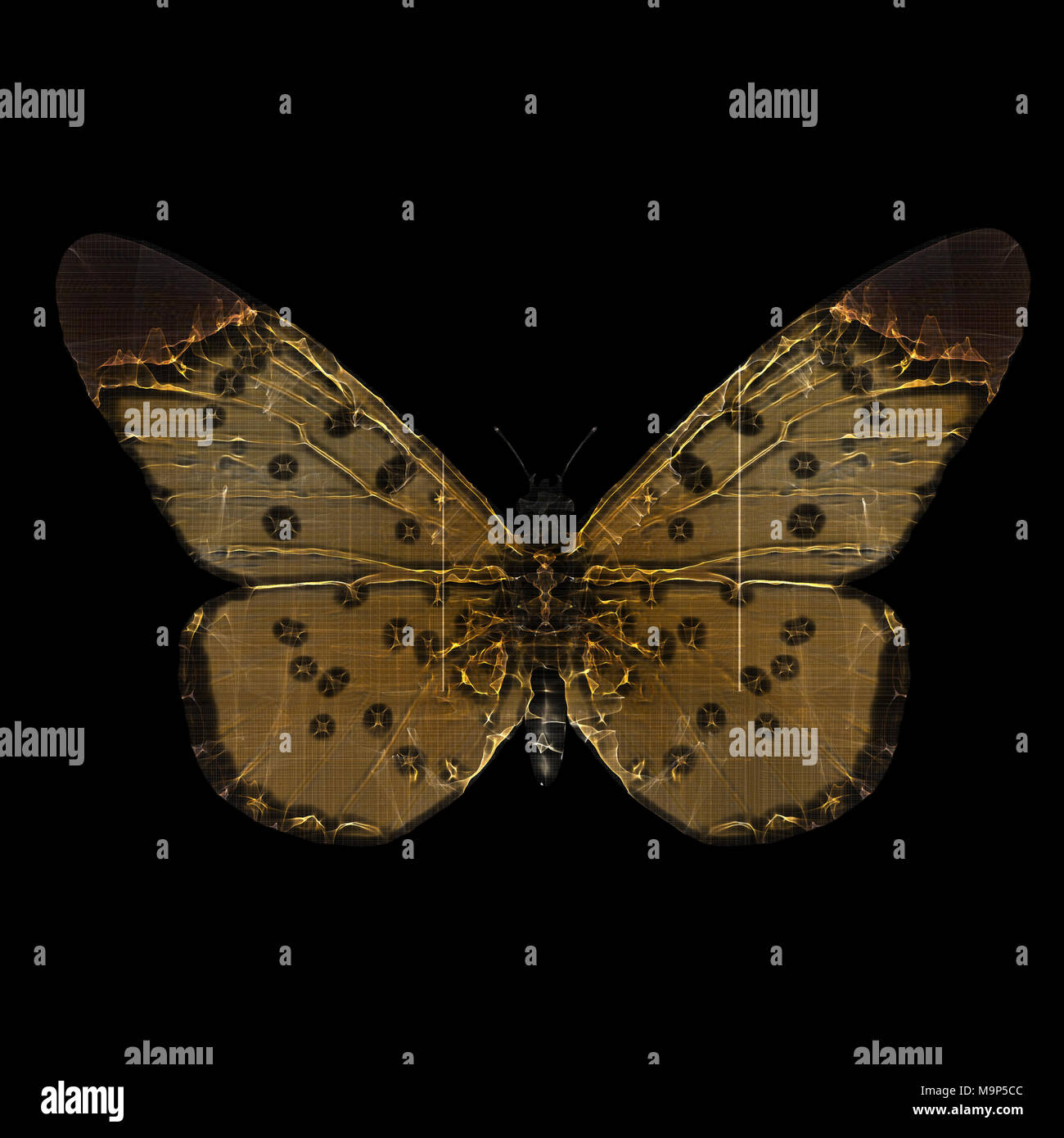 Abstract digital background, butterfly made of particles, lines and ...
