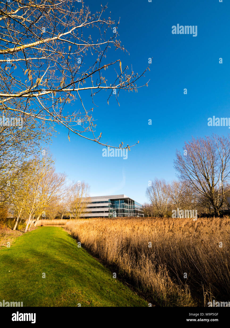 The Green Park Conference Centre, Green Park Business Park, Reading ...