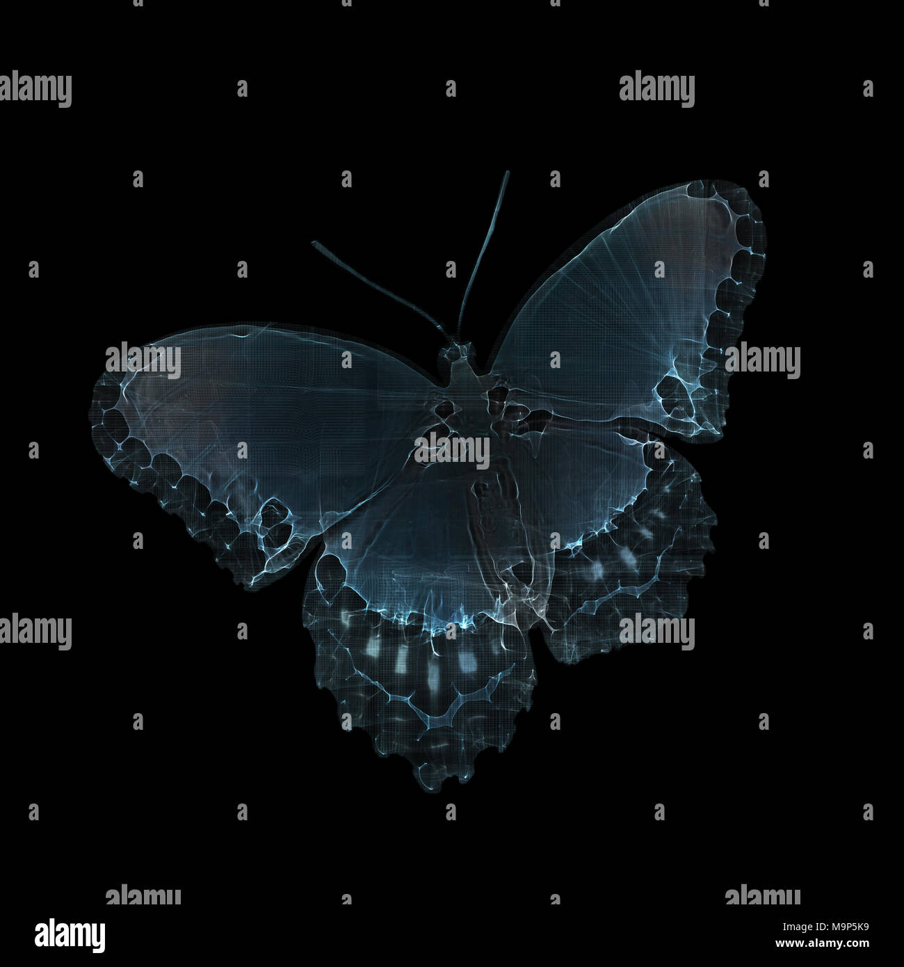 Abstract digital background, butterfly made of particles, lines and ...
