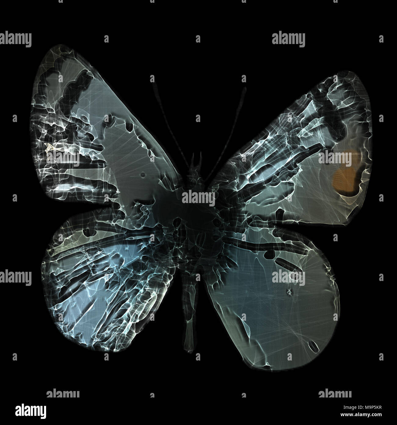 Abstract digital background, butterfly made of particles, lines and ...