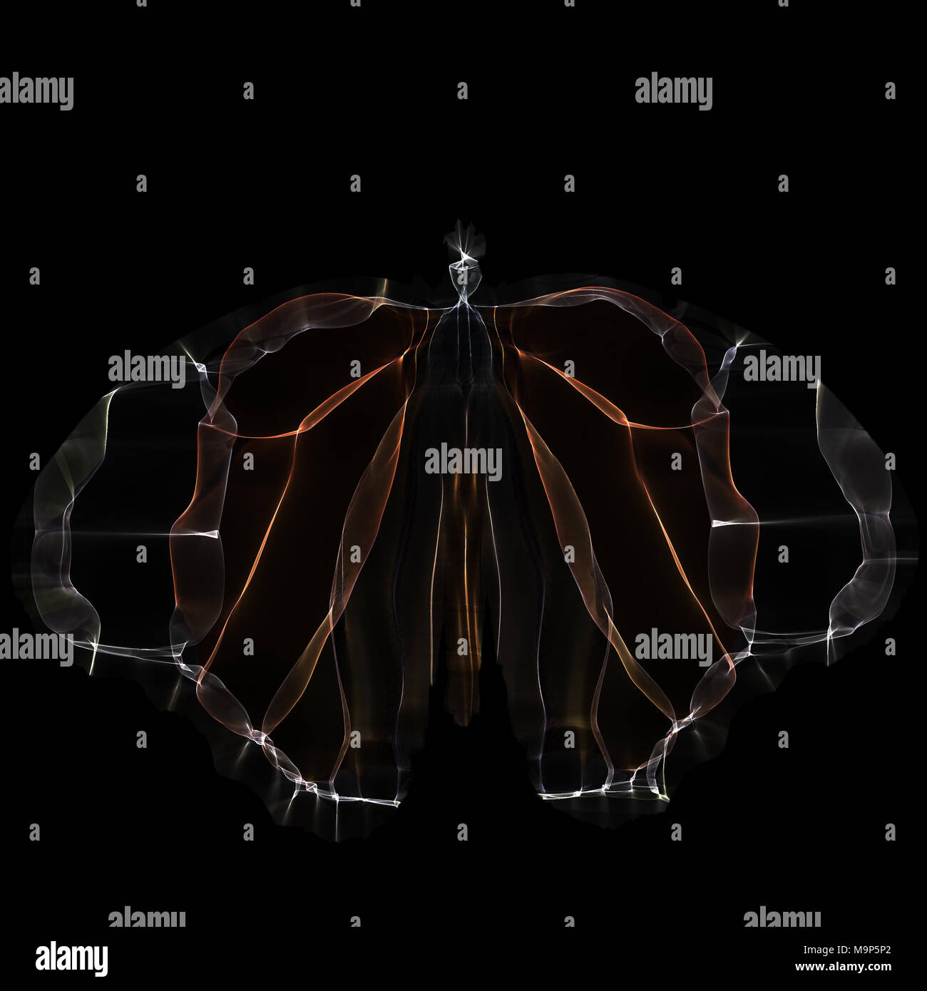 Abstract digital background, butterfly made of particles, lines and ...