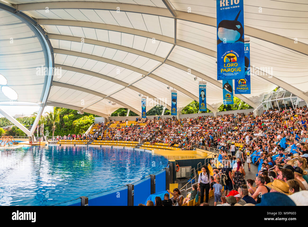 Grandstand and orca show basin hi-res stock photography and images - Alamy