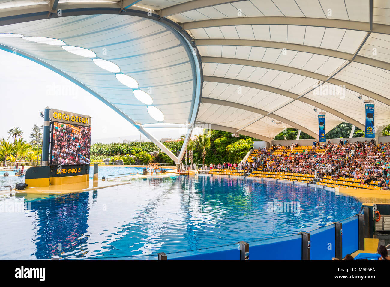 Arena, Grandstand and Orca Show Basin, Loro Parque, Puerto de la Cruz ...