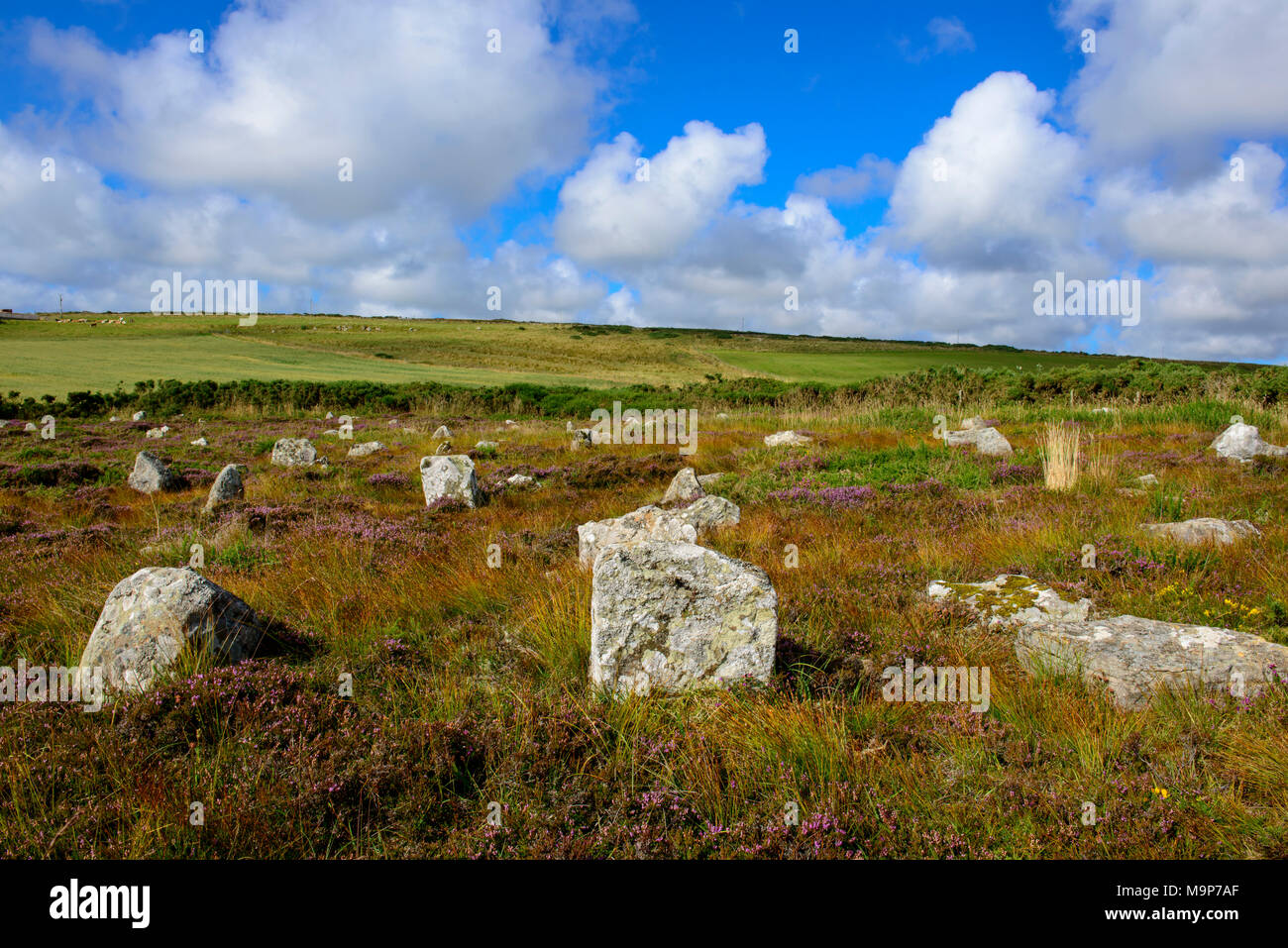 Hill O´Many Stanes, stone circles, stone setting, British Megalith ...