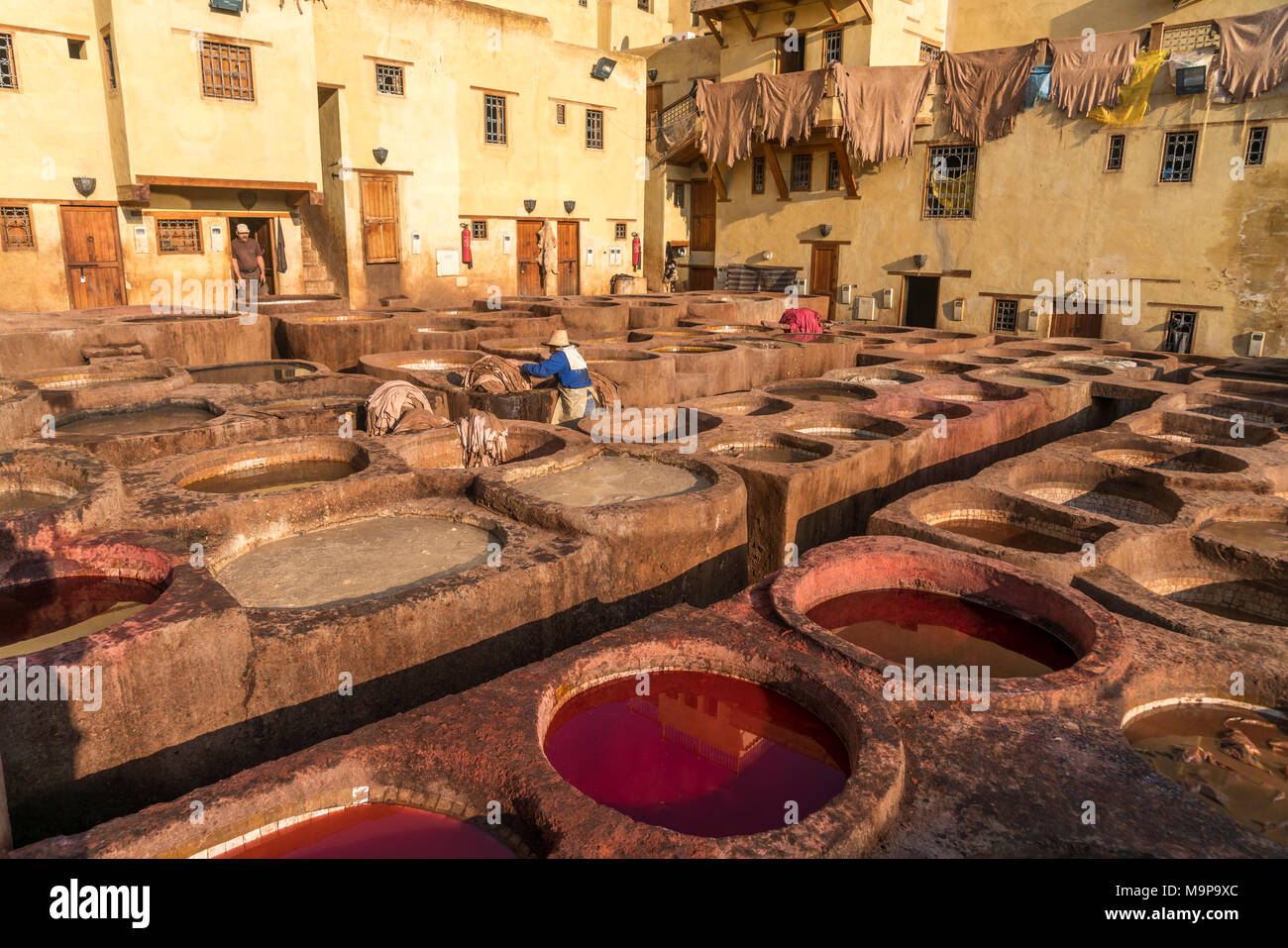 Leather dyeing tanks, dyeing plant, Tannerie Chouara tannery, Fes el ...